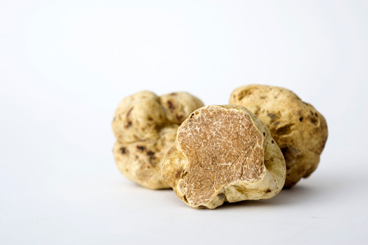 Top 4 Benefits of White Truffles for Beauty – The Belle Club